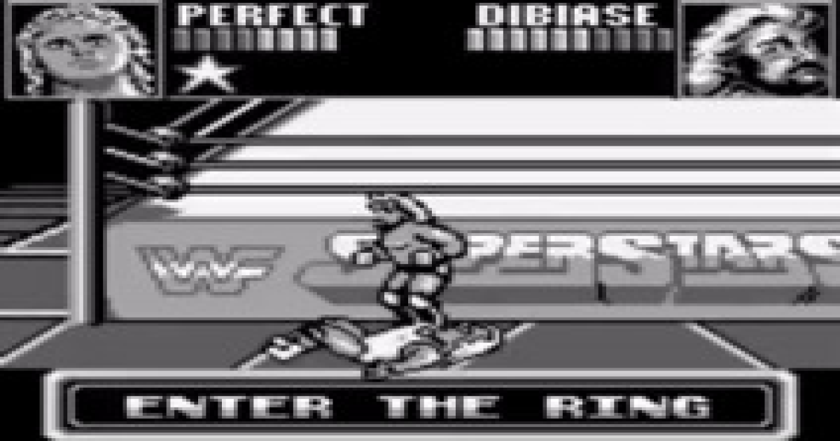 WWF Superstars emulator for GameBoy